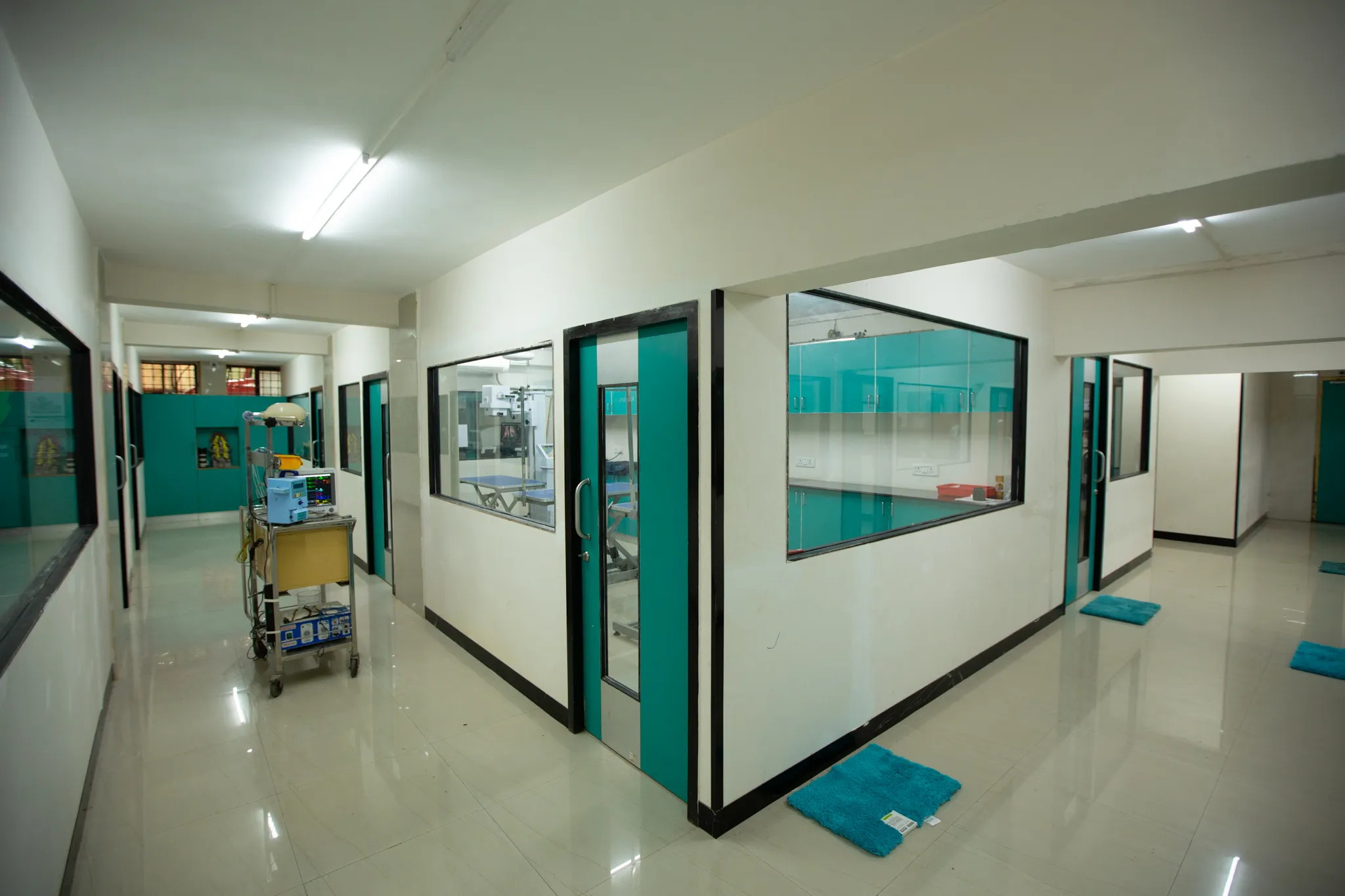 Complete Guide to SKS Veterinary Hospital Services | Expert Pet Care ...